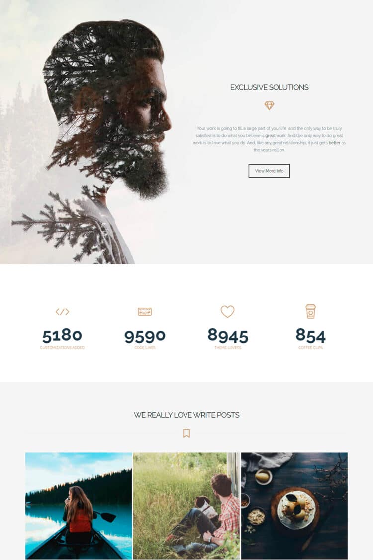 Spark WordPress Theme - Creative Multipurpose Website Builder