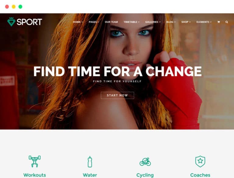 Sport WordPress Theme Documentation - Visualmodo Guides