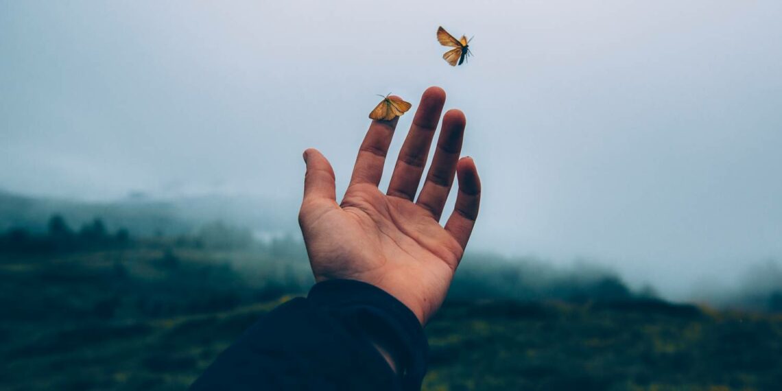 How To Find The Best Images Online To Use On Your Website