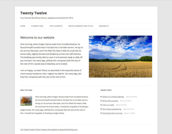 Free WordPress Native Themes Portfolio - Visualmodo
