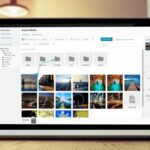 Best WordPress Gallery Plugins - Visualmodo WordPress Themes