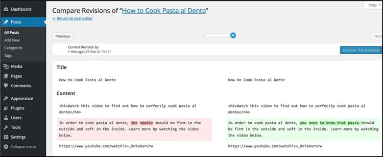 WordPress Revision History Usage