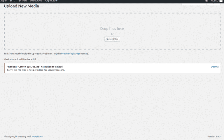 Fix WordPress Error: File Type Not Permitted For Security Reasons