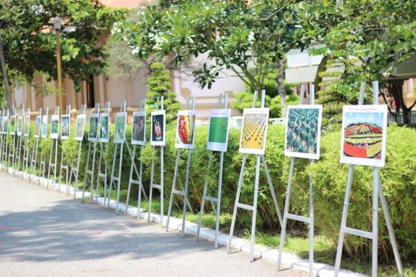 Clean Up Wordpress Media Library Guide Visualmodo