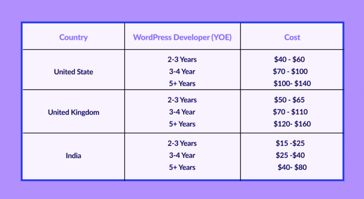 Is Hiring a WordPress Developer Worth Your Money? - Visualmodo Blog