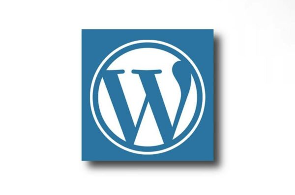 5 WordPress Tips Every Website Owner Needs to Know - Visualmodo