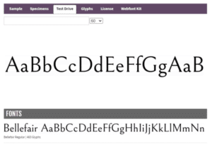 10 Serif Fonts To Use For Your Design Projects - Visualmodo